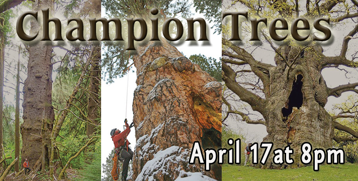 Champion Trees - RSU.TV
